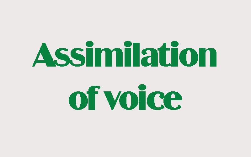 Assimilation of voice - EnglishCrunch.com